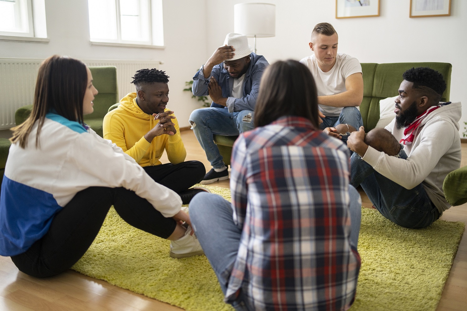 Domestic Abuse Perpetrator Programme (DAPP) - Bridges Partnership